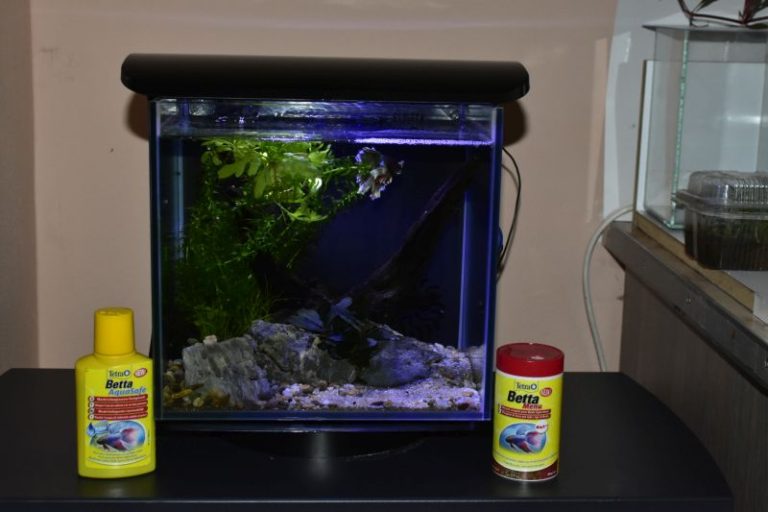 Tetra Silhouette – un acvariu perfect pentru începători - Tetra ...