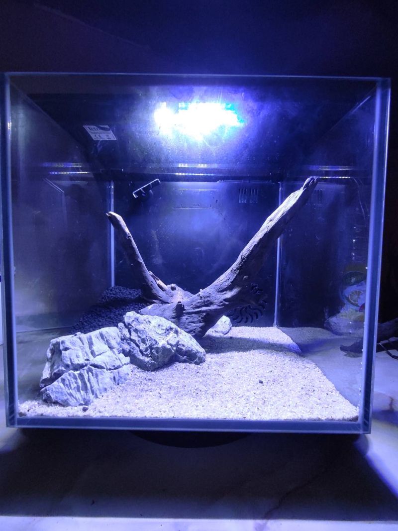 Tetra Silhouette – un acvariu perfect pentru începători - Tetra ...